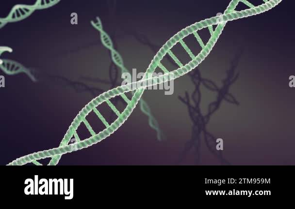 Dna double helix structure not concept Stock Videos & Footage - HD and ...