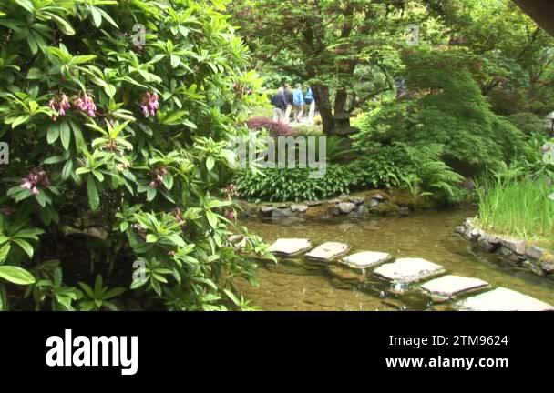 Beautiful pond stone walkway Stock Videos & Footage - HD and 4K Video ...
