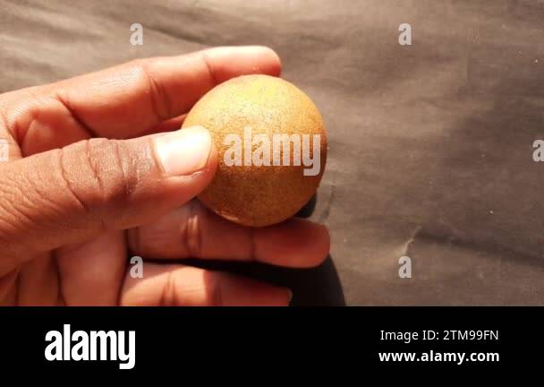 Manilkara zapota fruits. Its other names apodilla fruits, sapote ...