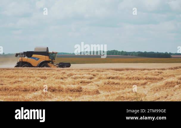 Field grain corn straw Stock Videos & Footage - HD and 4K Video Clips ...