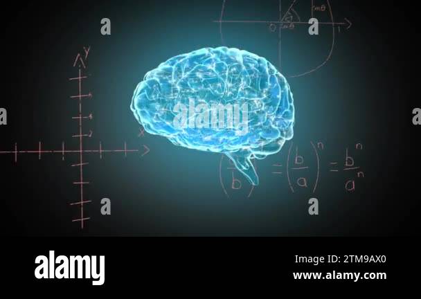 Animation of digital human brain over mathematical equations and ...