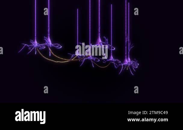 Head anatomy receptors Stock Videos & Footage - HD and 4K Video Clips ...