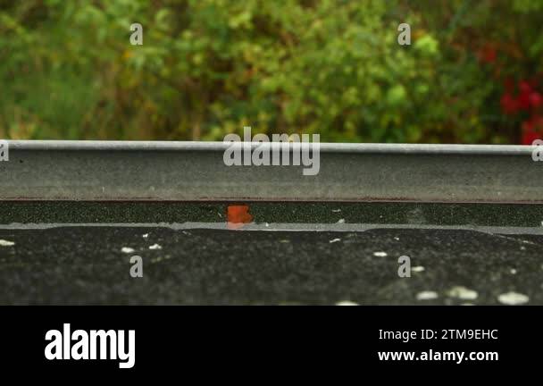 Falling rain over simple Stock Videos & Footage - HD and 4K Video Clips ...