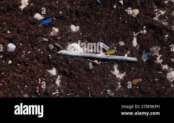 Plastic Waste Littered on a Beach Caused by Dumping of Plastics in the ...