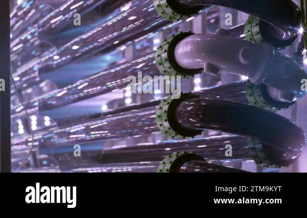 Algae reactor science tubular, research pipe hose modern laboratory ...