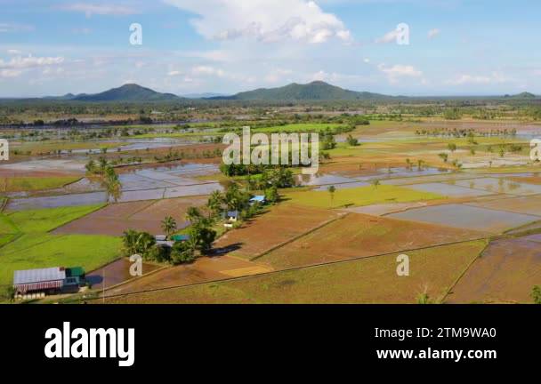 Landscape on Leyte Island, Philippines. Rice fields, top view ...