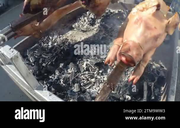 Roasted pig snout Stock Videos & Footage - HD and 4K Video Clips - Alamy