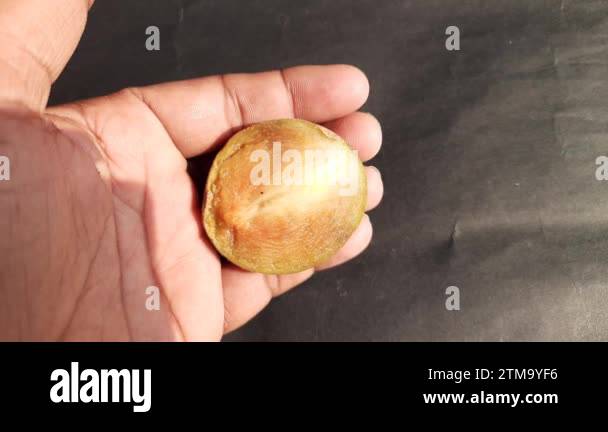 Manilkara zapota fruits. Its other names apodilla fruits, sapote ...