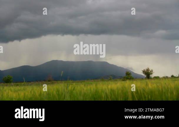 June rain Stock Videos & Footage - HD and 4K Video Clips - Alamy