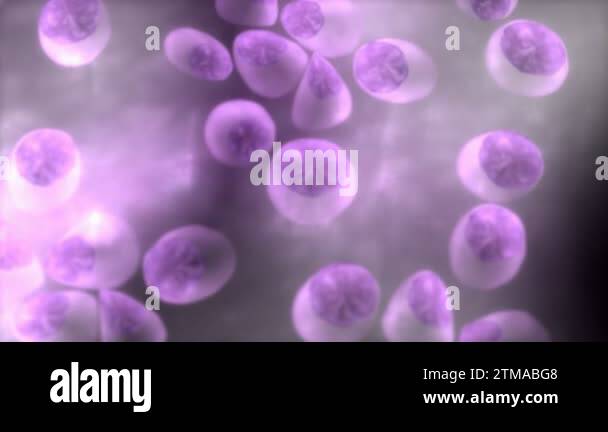 Plasma cells Stock Videos & Footage - HD and 4K Video Clips - Alamy