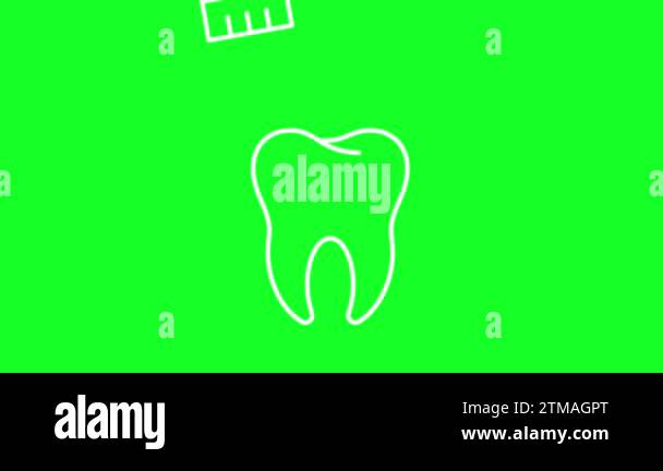 Animated brushing white line icon. Dental hygiene. Decay prevention. Loop HD video with chroma ...