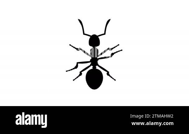Ant sign Stock Videos & Footage - HD and 4K Video Clips - Alamy