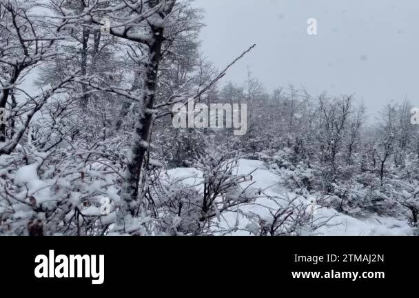 Snow Storm in the Forest near the Road of the Seven Lakes (Spanish ...