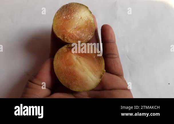 Manilkara zapota fruits. Its other names apodilla fruits, sapote ...