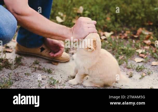 Angers nature Stock Videos & Footage - HD and 4K Video Clips - Alamy