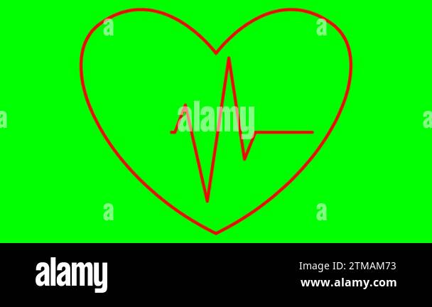 Animated red pounding heart with electrocardiogram. Linear symbol of pulsating cardiogram ...