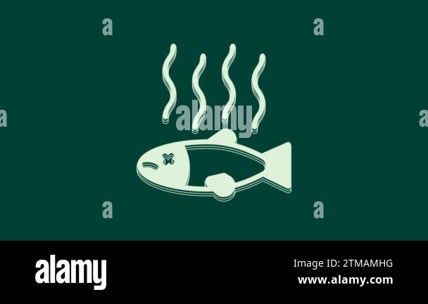Rotten body dead fish Stock Videos & Footage - HD and 4K Video Clips ...