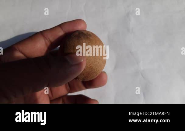 Manilkara zapota fruits. Its other names apodilla fruits, sapote ...