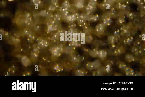 Golden glitter background. Beautiful transition with real gold particles. flying in wind on ...