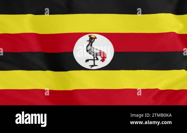 Uganda flag video. National 3d Ugandan Flag. Uganda flags waving in ...
