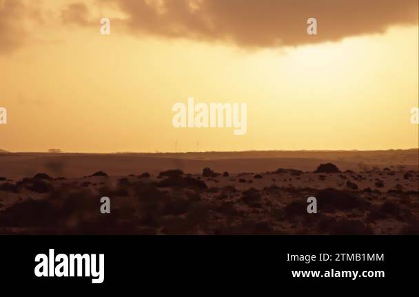 Witness the breathtaking beauty of a desert sunset, where the golden ...