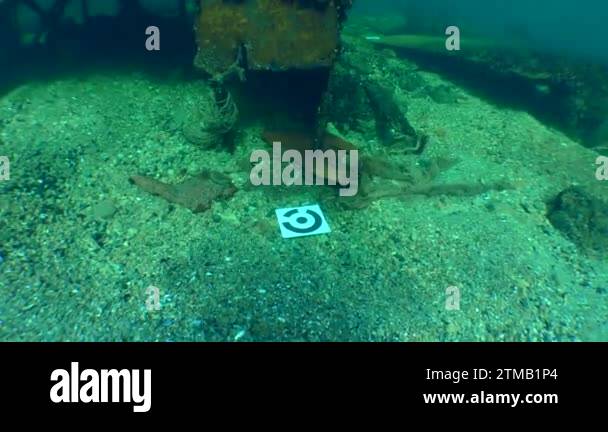 Construction of 3D models of underwater objects: Markers laid out on ...
