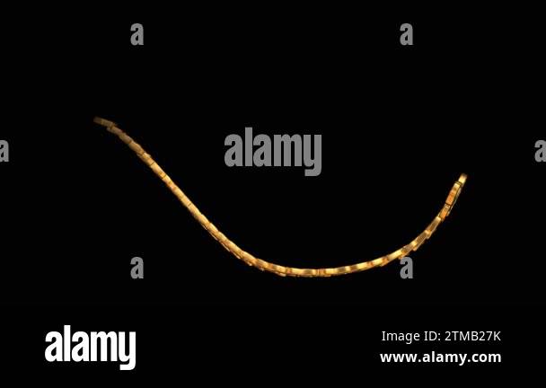 Circular motion symbol Stock Videos & Footage - HD and 4K Video Clips ...