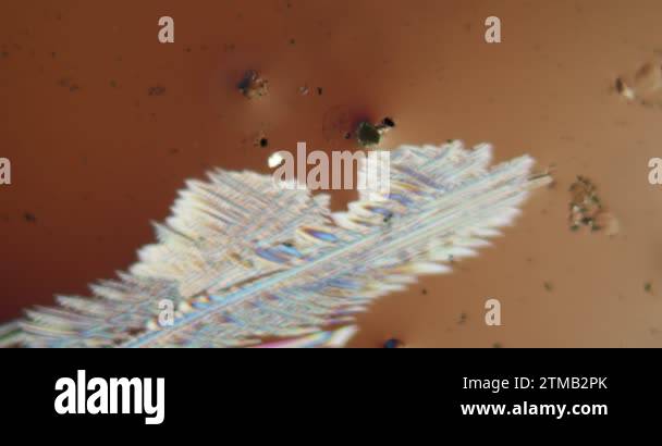 Citric acid crystal microscope Stock Videos & Footage - HD and 4K Video ...