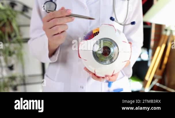 Doctor explains structure of eye pointing to details with pen. Woman in ...