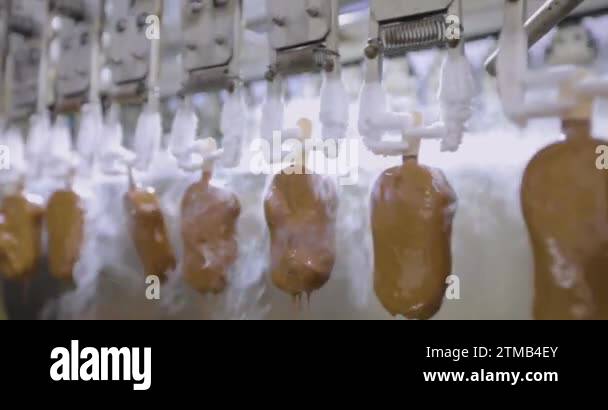 How ice cream is made. The process of making ice cream. Automated ice ...