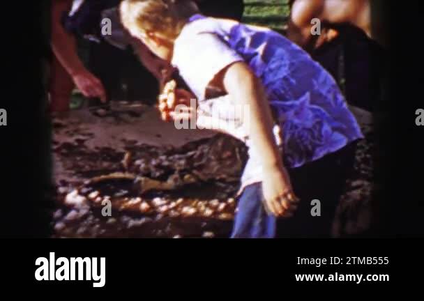 Pig picking Stock Videos & Footage - HD and 4K Video Clips - Alamy