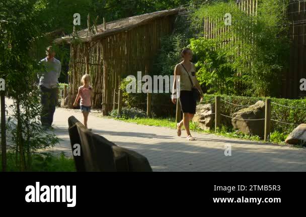 Centre park road Stock Videos & Footage - HD and 4K Video Clips - Alamy