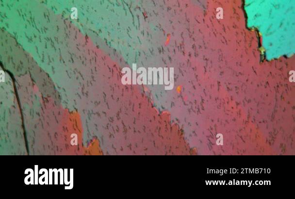 Polarized urea crystals under the microscope Stock Videos & Footage ...
