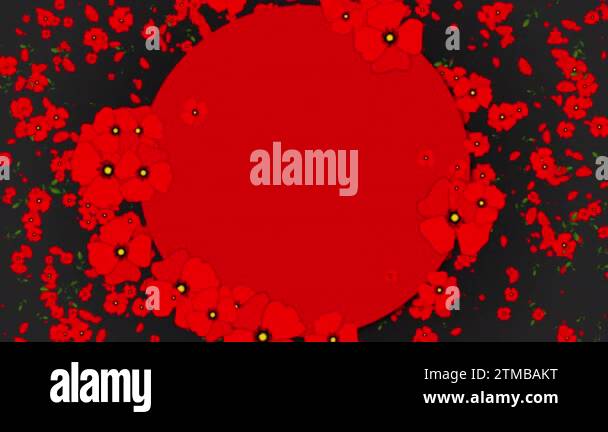 Red poppies rotating on black animated background. Looped motion graphics. Red circle blank ...