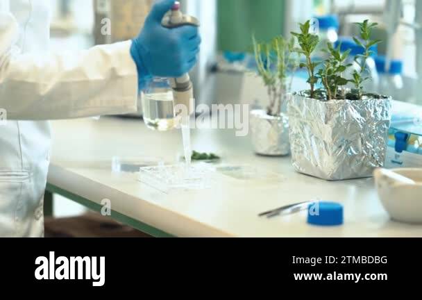 testing a plant sample in a biochemical science laboratory. a scientist ...