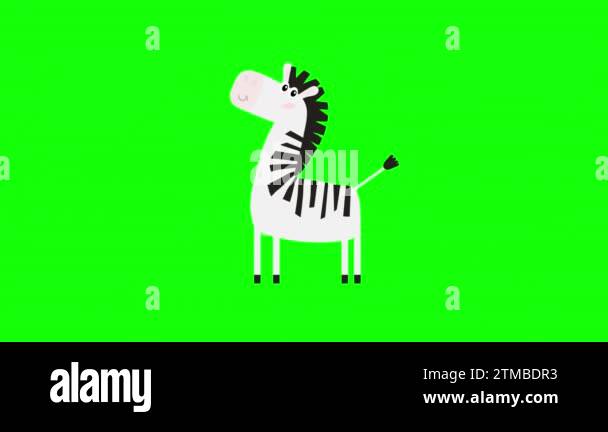 Cartoon zebra icon loop Animation video transparent background with ...