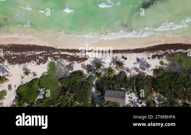Sargassum Seaweed Crisis with Beaches in Mexico Battling Gulfweed ...