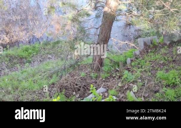 ecological problems. polluted water. flood. Ukraine. ecological ...