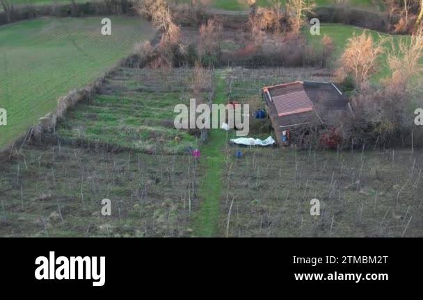 Guyot system Stock Videos & Footage - HD and 4K Video Clips - Alamy