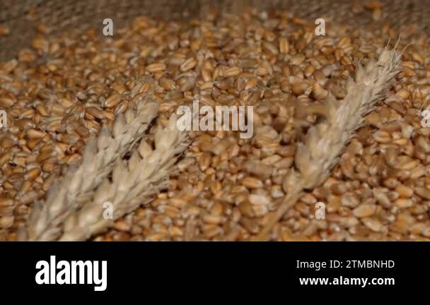 Top of pile Stock Videos & Footage - HD and 4K Video Clips - Alamy