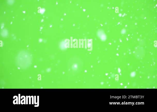 Real Snow is snowing on Green screen Background in cold winter season ...
