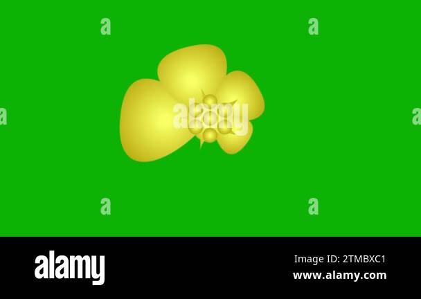 Animated golden flower blossoms. Sakura is blooming. The symbol of ...