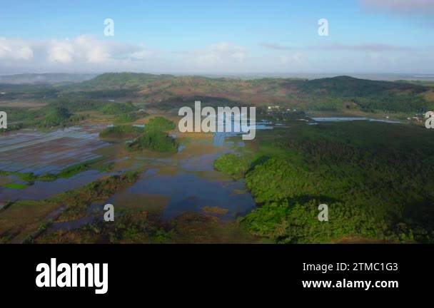 Vibrant green tropical valley with rice field and farmland. Aerial view ...