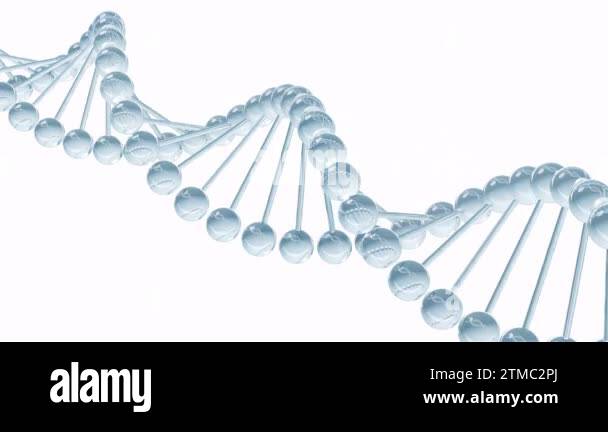 DNA model - looped animation Stock Video Footage - Alamy