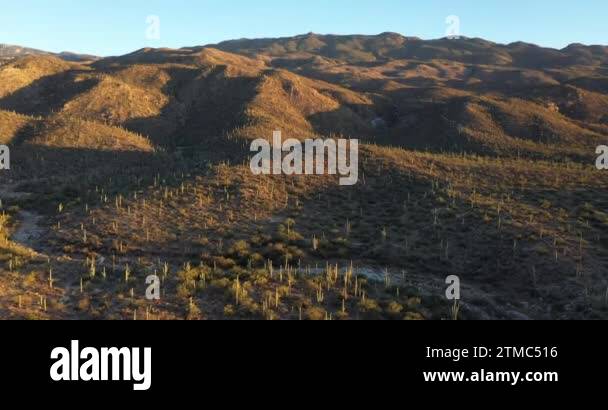 Thorn shadows Stock Videos & Footage - HD and 4K Video Clips - Alamy