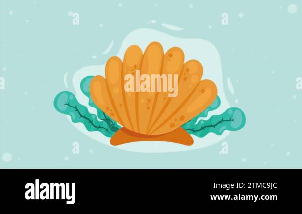 Seashell clipart Stock Videos & Footage - HD and 4K Video Clips - Alamy