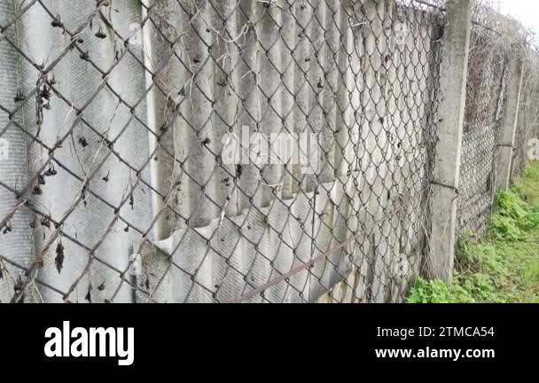 fence made of metal and concrete. steel mesh. mesh fence. gray concrete ...