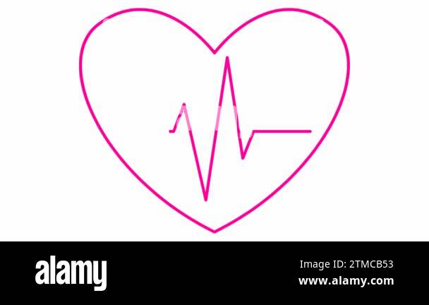 Animated magenta pounding heart with electrocardiogram. Linear pink ...