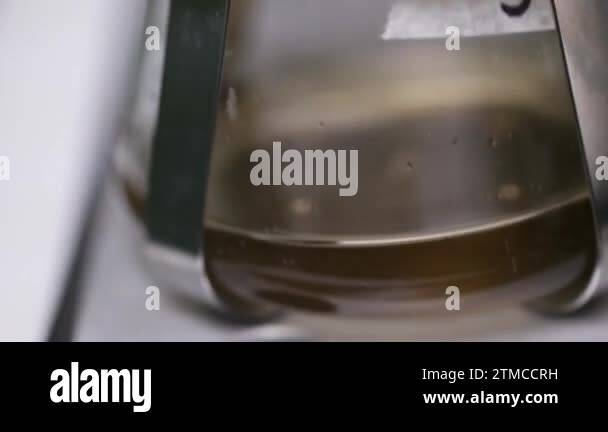 Lab bottles shaking liquid tissue microbial culture at shaker ...