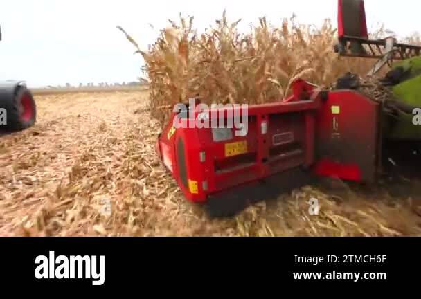 Thresher Stock Videos & Footage - HD and 4K Video Clips - Alamy